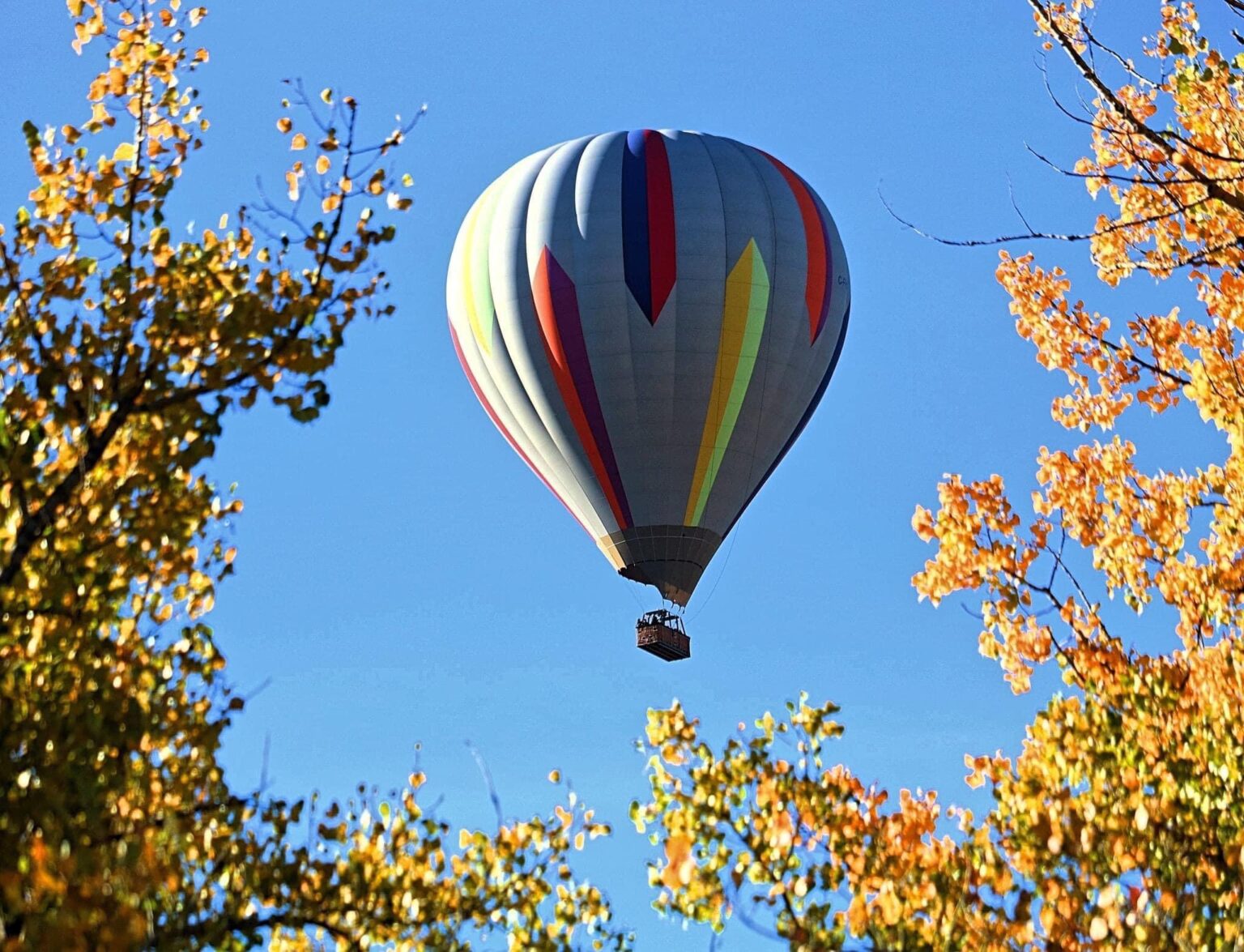 EXPERIENCE – Kiss The Sky Balloons